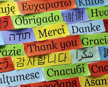 Work | Black Antelope